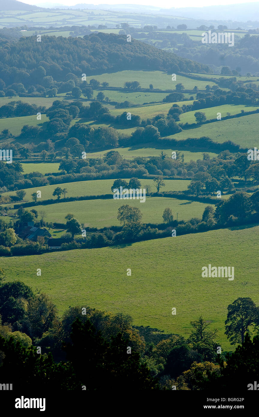 Devonshire countryside hi-res stock photography and images - Alamy