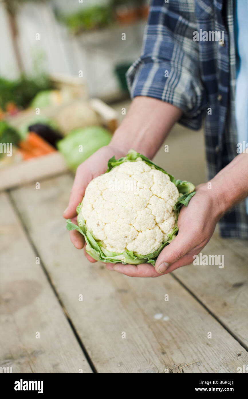 Man holding a head of cauliflower Stock Photo - Alamy