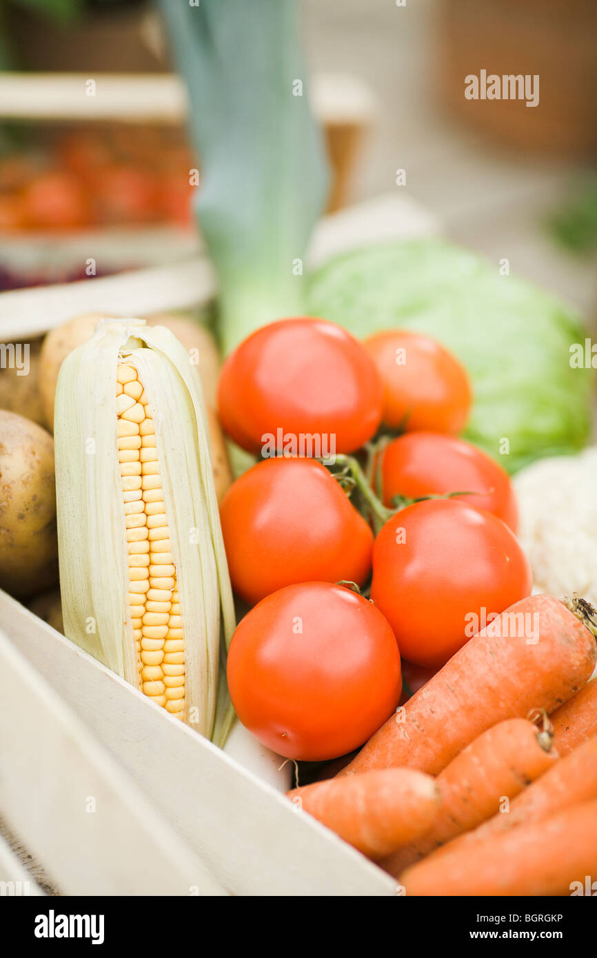 Solanum lycopersicum root hi-res stock photography and images - Alamy