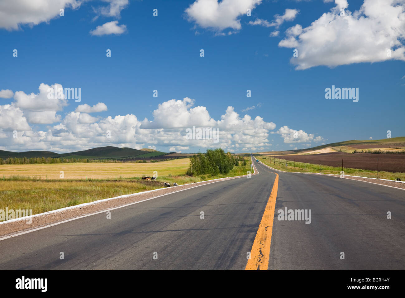 asphalt country road Stock Photo - Alamy