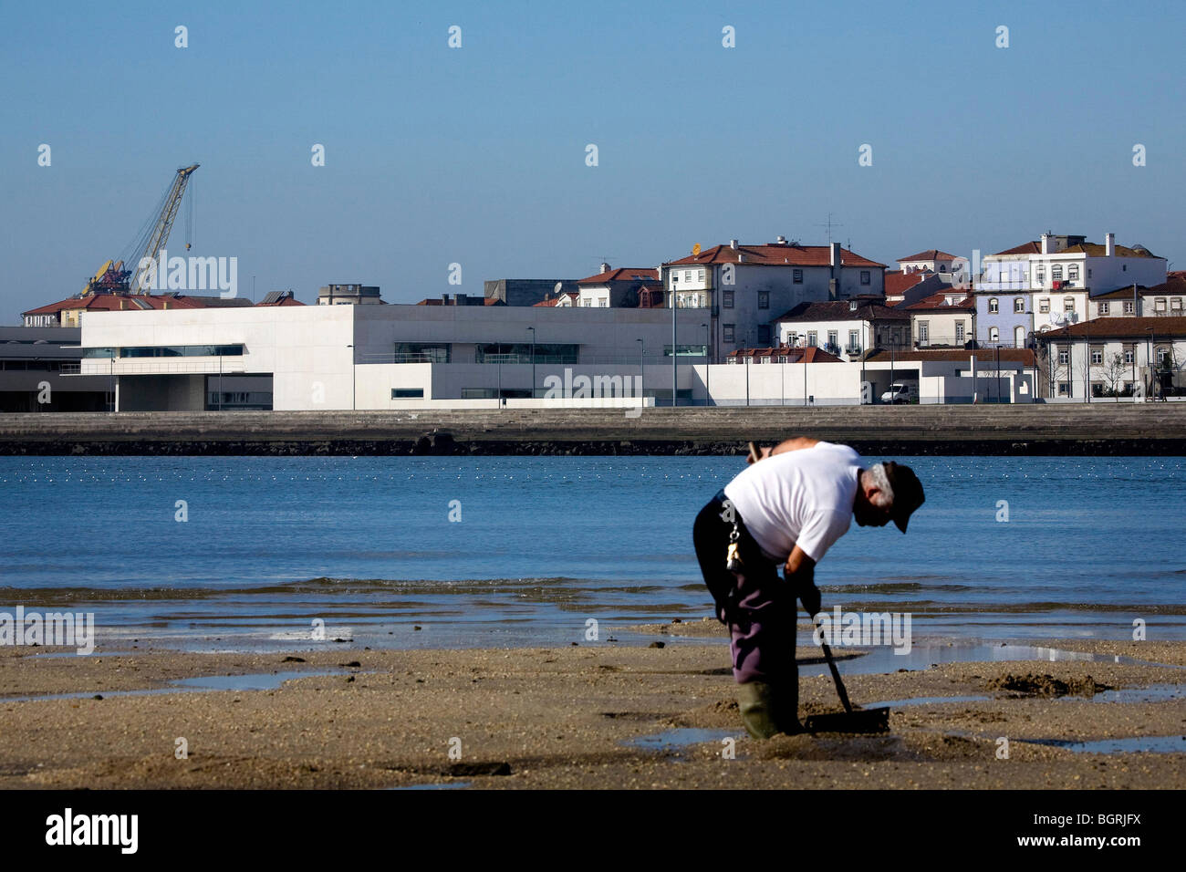 MUNICIPAL LIBRARY, VIANA DO CASTELO, PORTUGAL, ALVARO SIZA Stock Photo ...