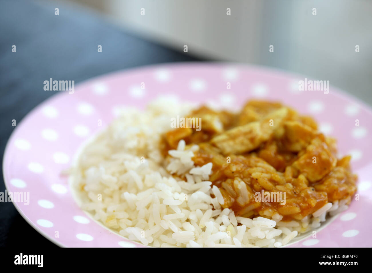 Fresh Indian Style Spicy Chicken Curry With Long Grain Rice with No ...