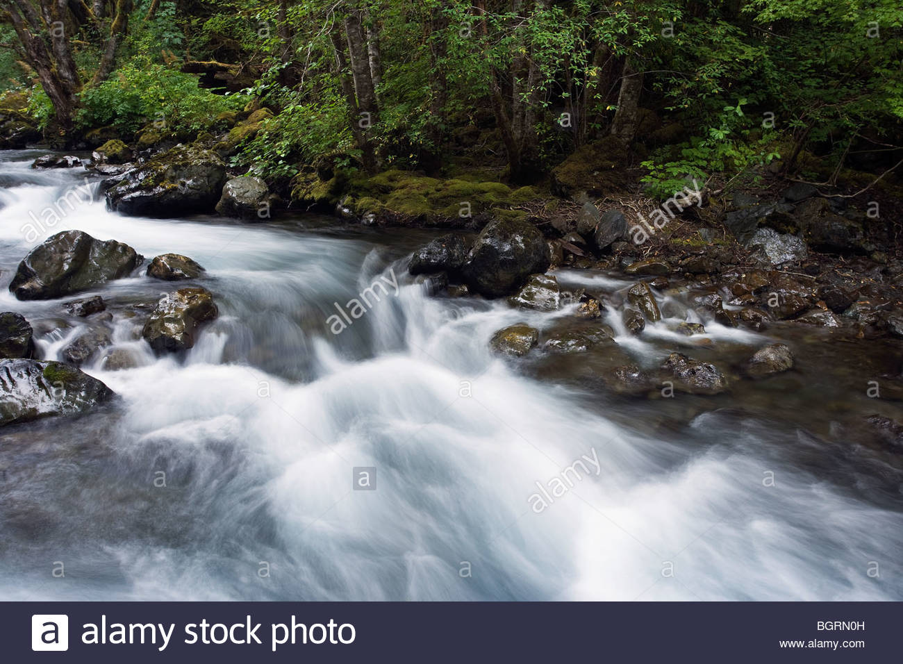 Fast Moving River Stock Photos & Fast Moving River Stock Images - Alamy