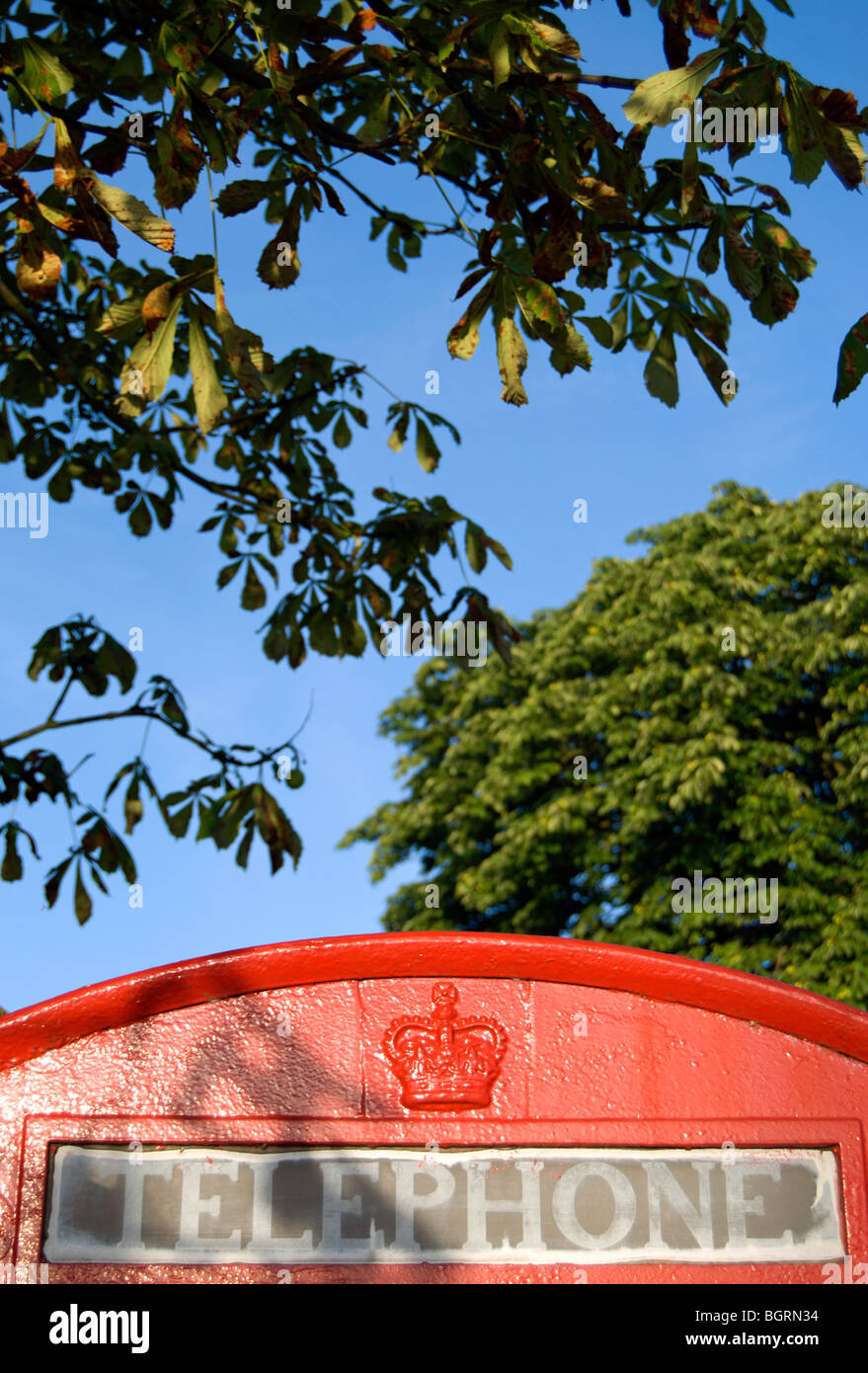 detail of a traditional british red telephone box showing crown Stock ...