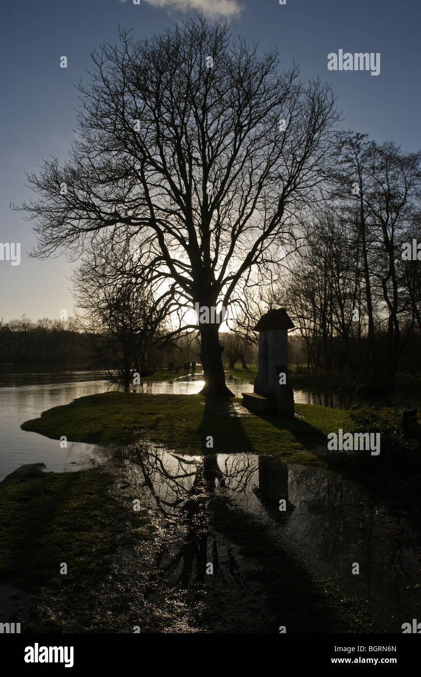 Winter tree silhouette on the River Thames at Medmenham Buckinghamshire ...