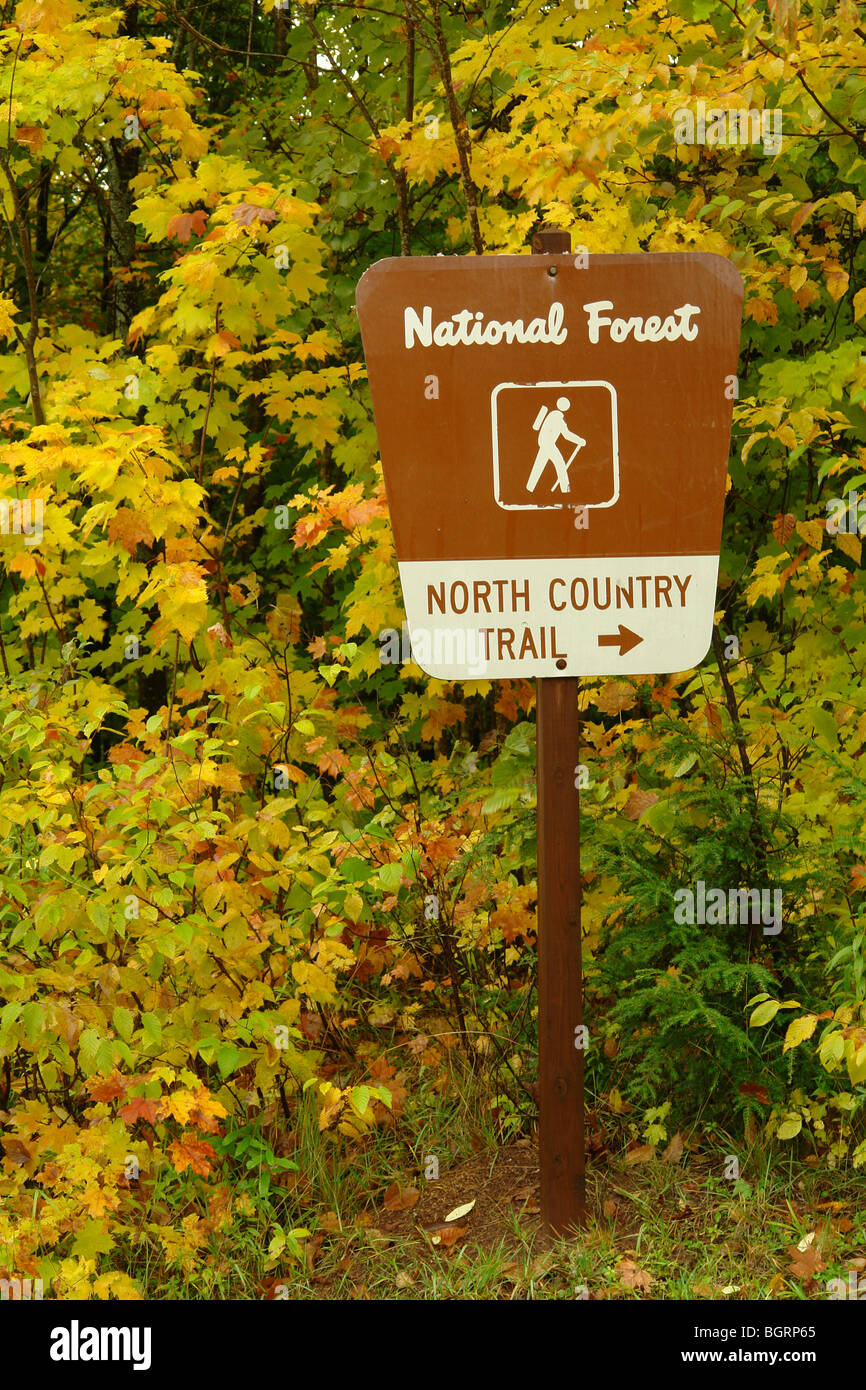 AJD62620, MI, Michigan, Upper Peninsula, Ottawa National Forest, North ...