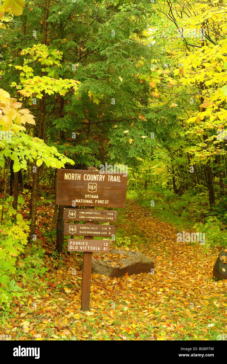 AJD62622, MI, Michigan, Upper Peninsula, Ottawa National Forest, North ...