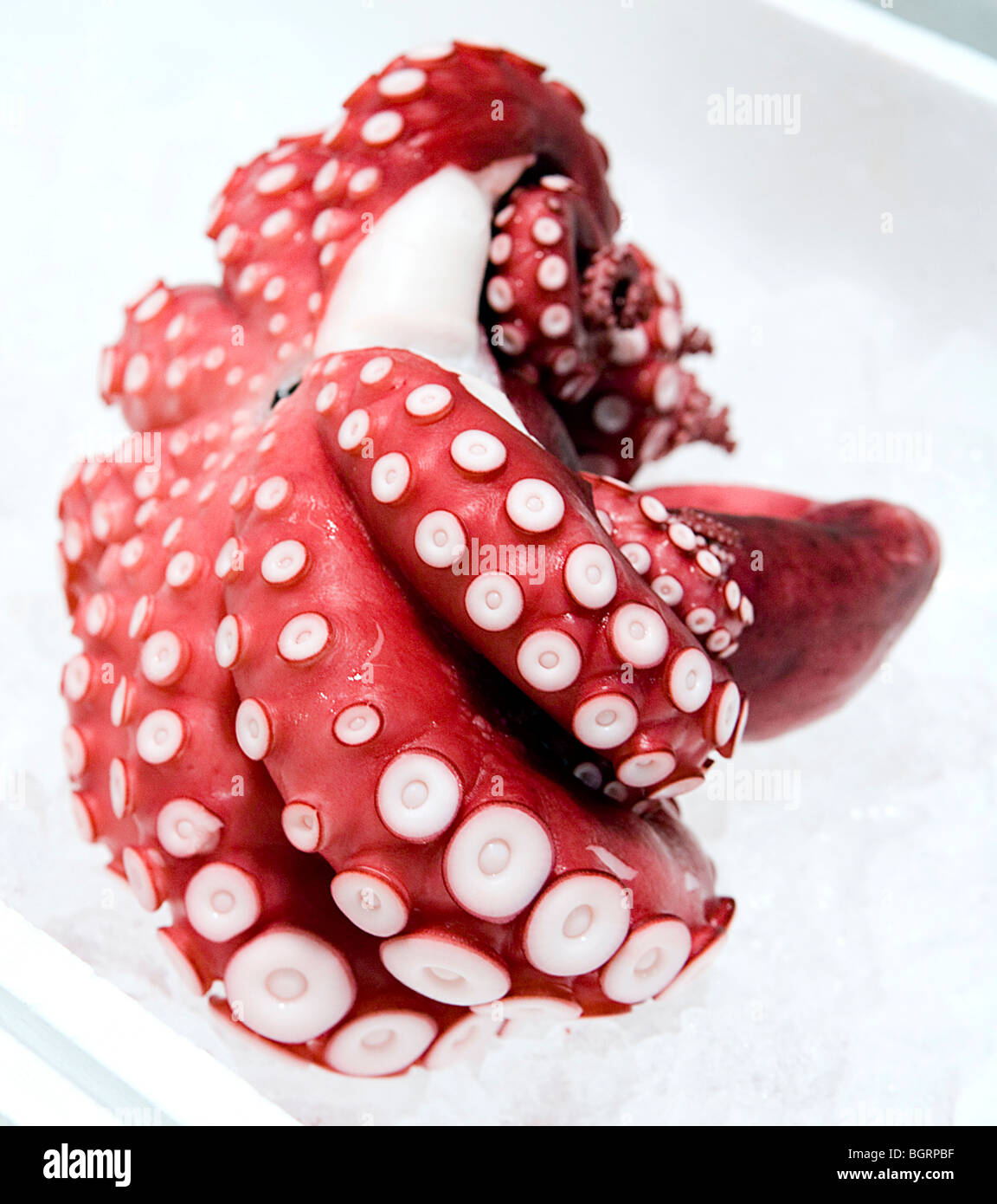 Tokyo fish market tsukiji hi-res stock photography and images - Alamy