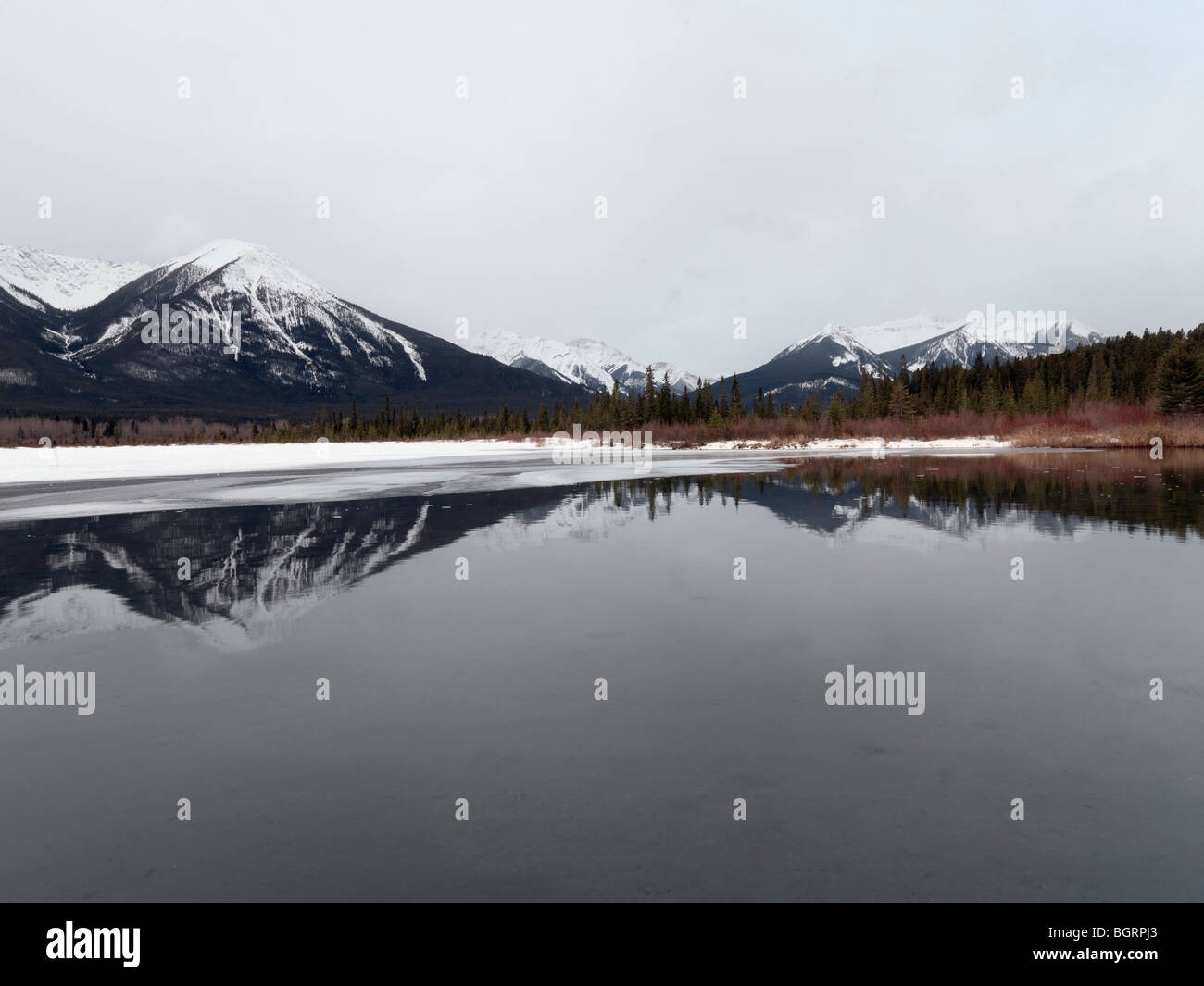 Winter landscape, Banff National Park, Alberta, Canada Stock Photo - Alamy
