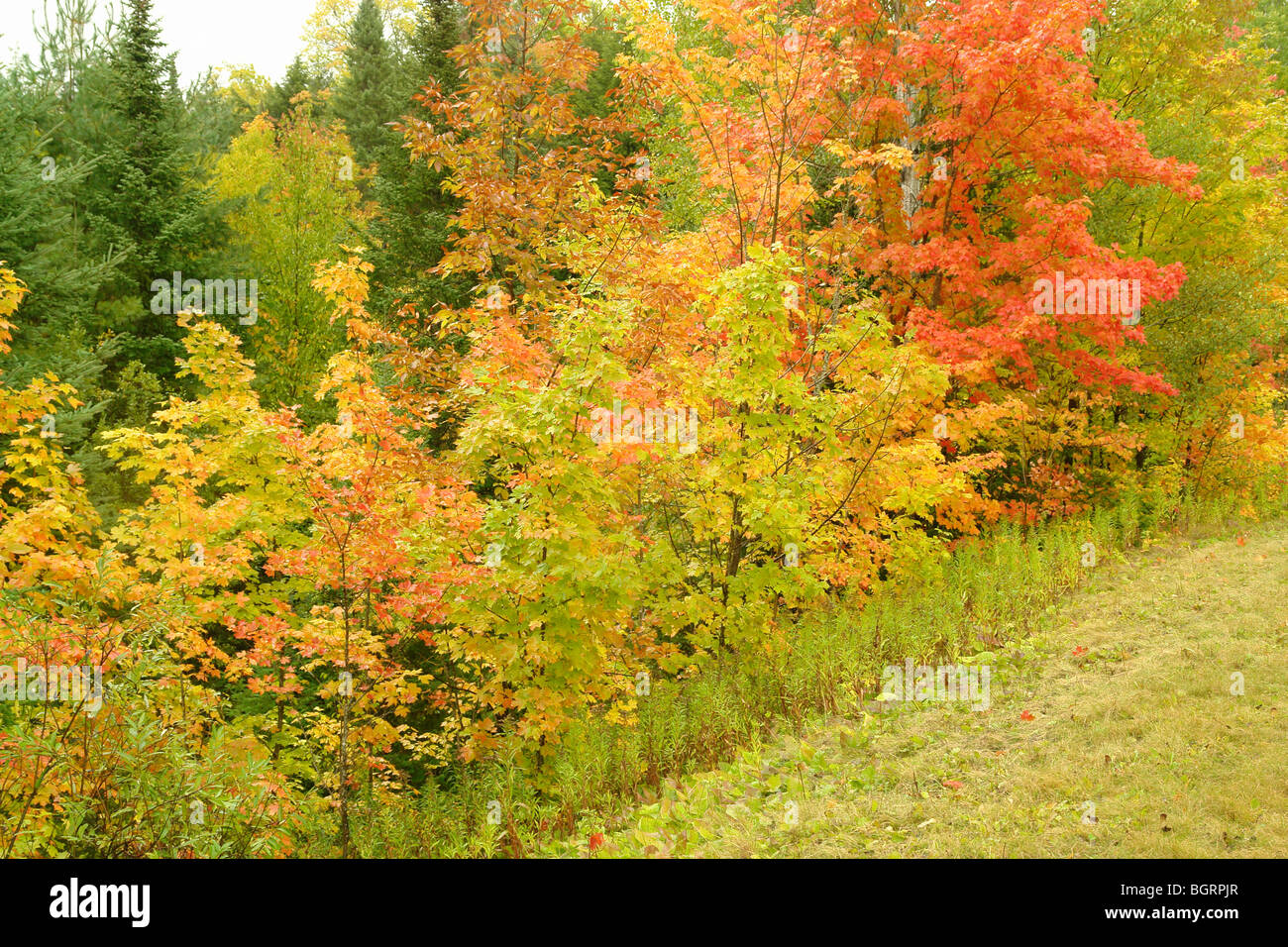 Silver city michigan lake superior hi-res stock photography and images ...