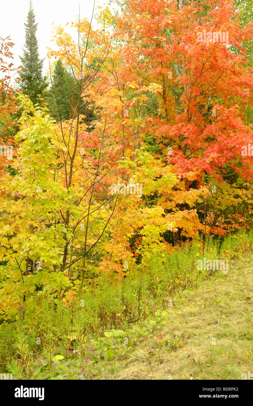 Silver city michigan lake superior hi-res stock photography and images ...