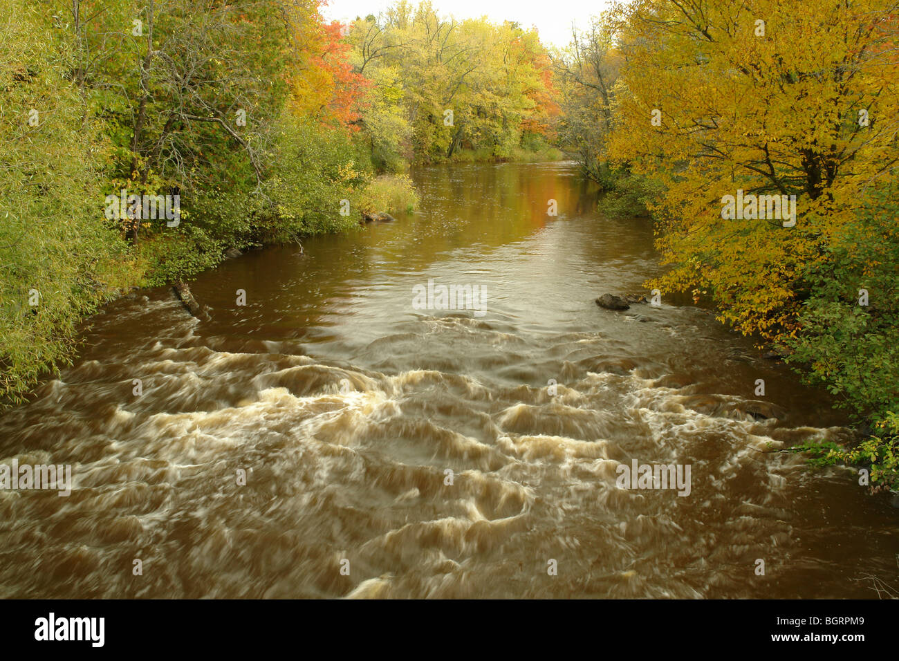 AJD62643, MI, Michigan, Upper Peninsula, Black River, Ottawa National ...