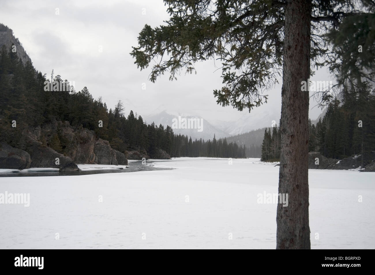 Winter scene; Banff, Alberta, Canada Stock Photo - Alamy