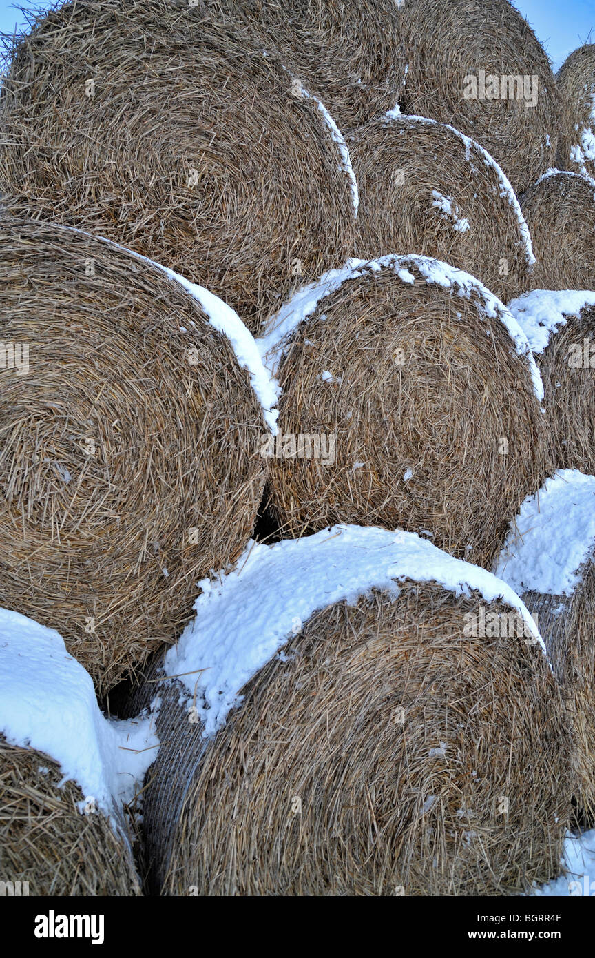 Snow lays on hay straw bales in farmyard Stock Photo - Alamy