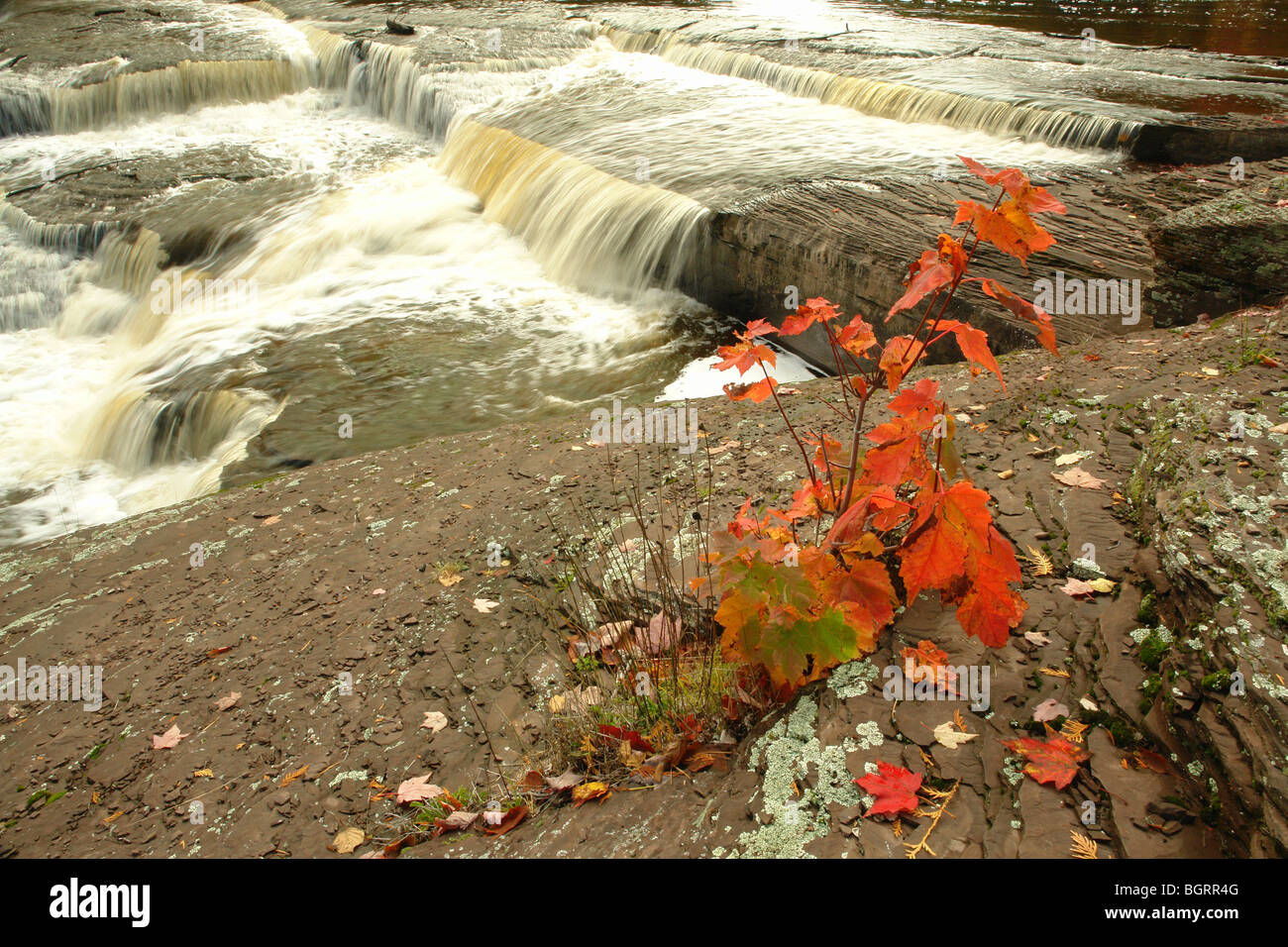 AJD62662, MI, Michigan, Upper Peninsula, Porcupine Mountains Wilderness ...