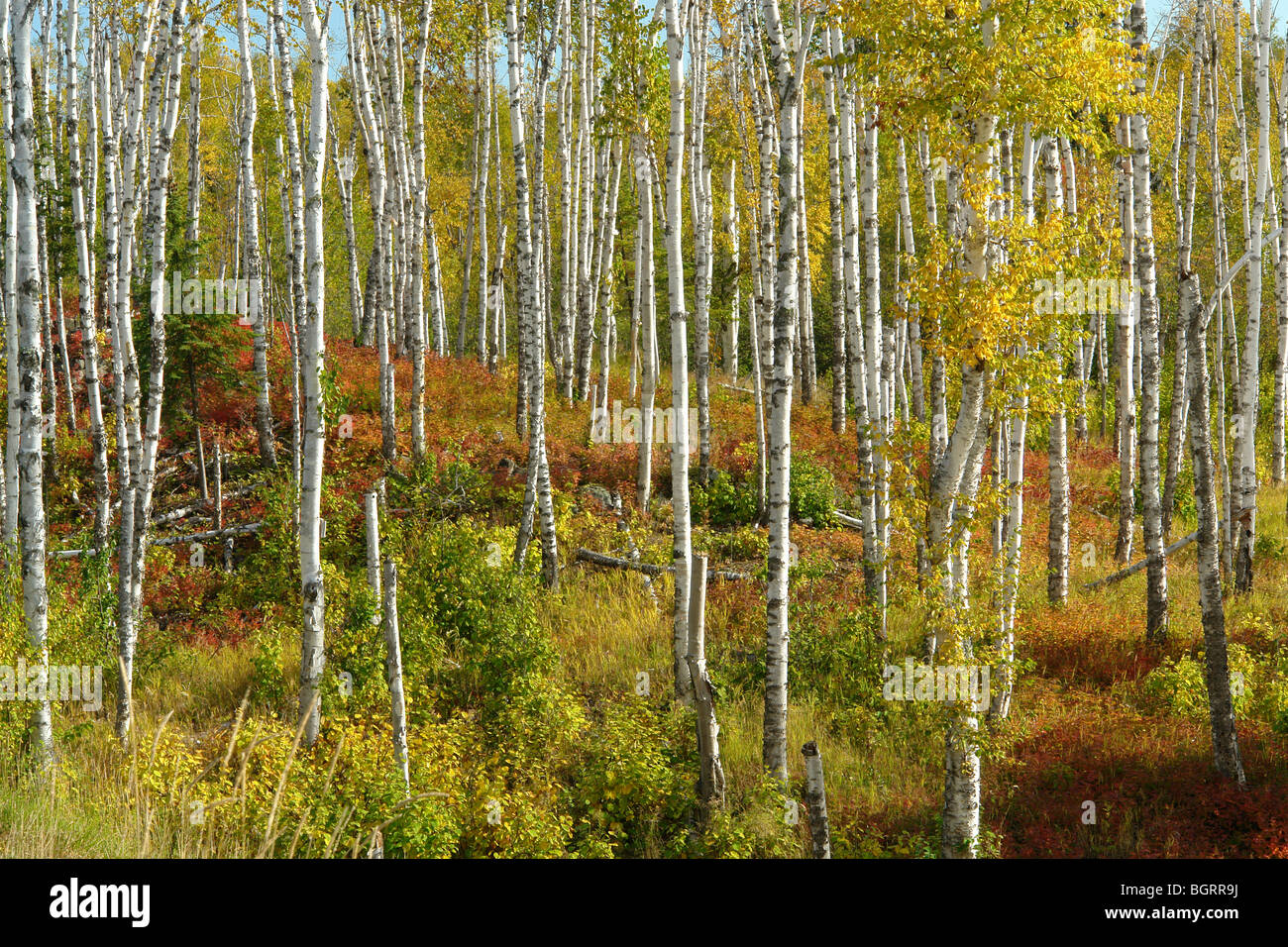 AJD62601, Beaver Bay, MN, Minnesota, Lake Superior, North Shore, Split ...