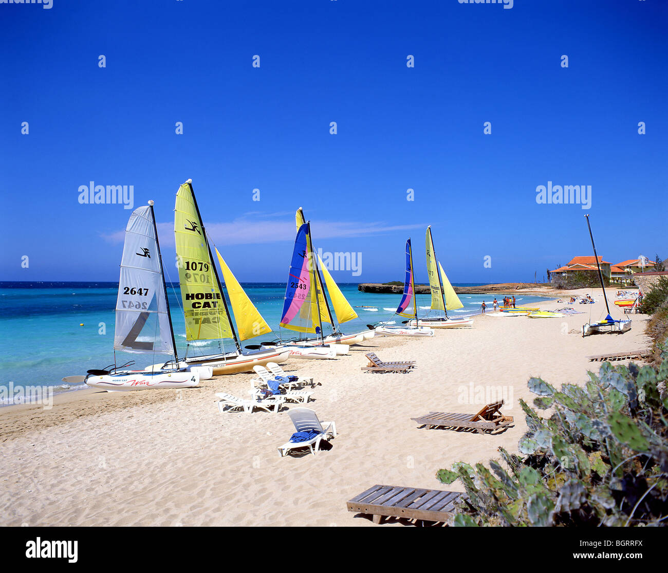 Tropical beach with catamaran sail boats, Varadero, Matanzas, Republic ...
