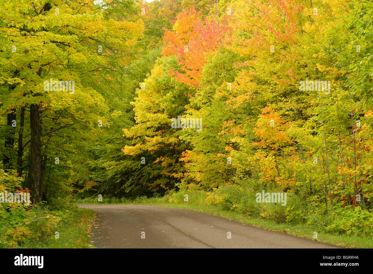 AJD62694, MI, Michigan, Upper Peninsula, Porcupine Mountains Wilderness ...