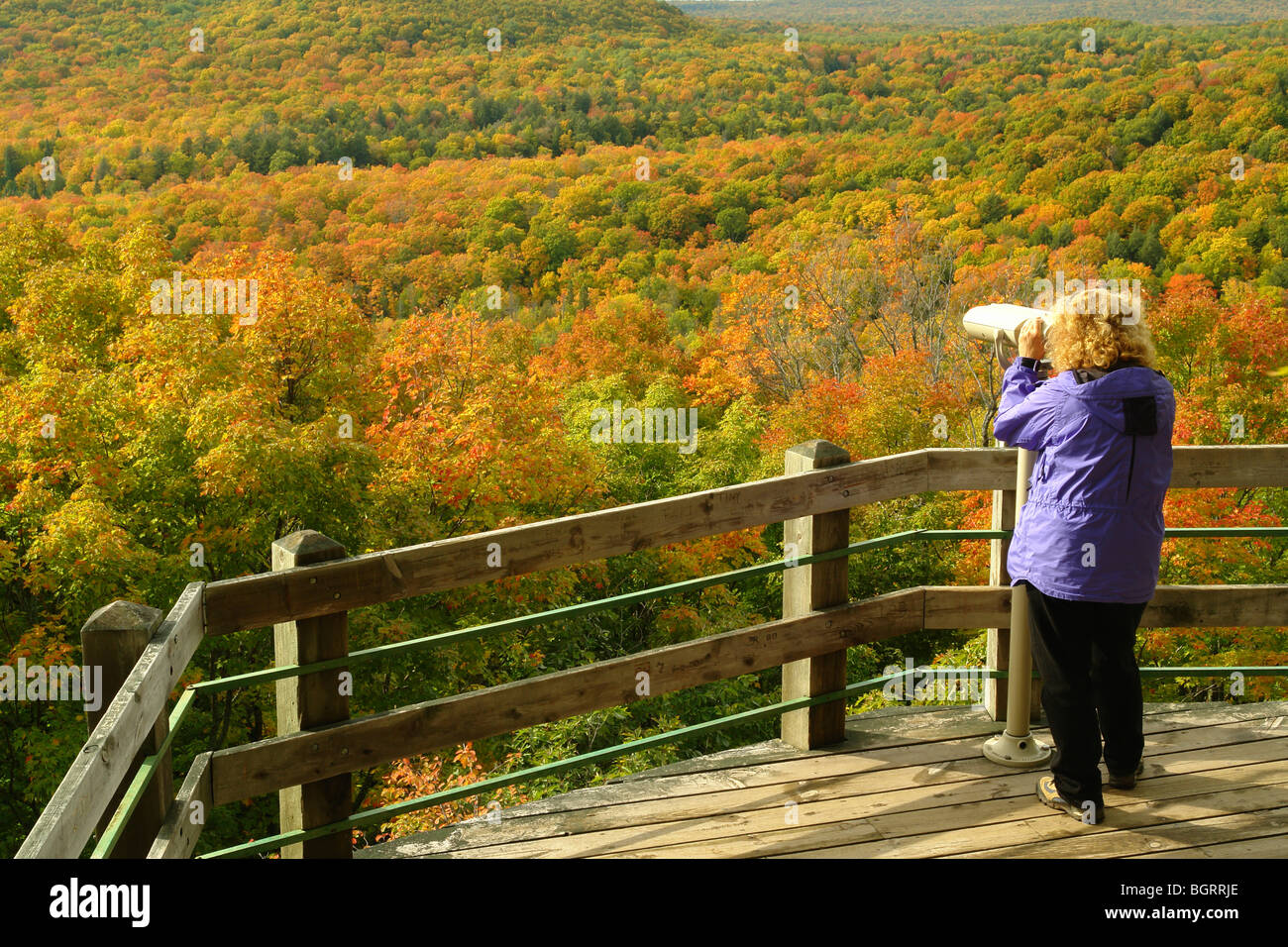 AJD62697, MI, Michigan, Upper Peninsula, Porcupine Mountains Wilderness ...