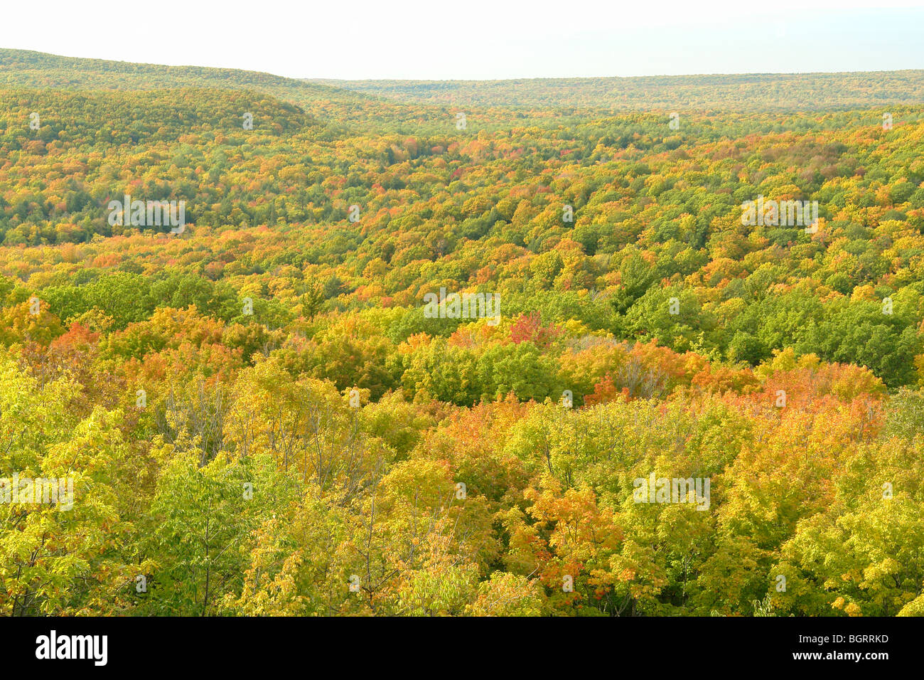 AJD62699, MI, Michigan, Upper Peninsula, Porcupine Mountains Wilderness ...