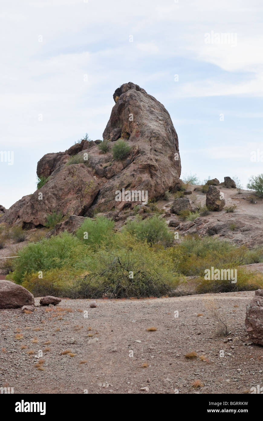 Lichen in the desert hi-res stock photography and images - Alamy