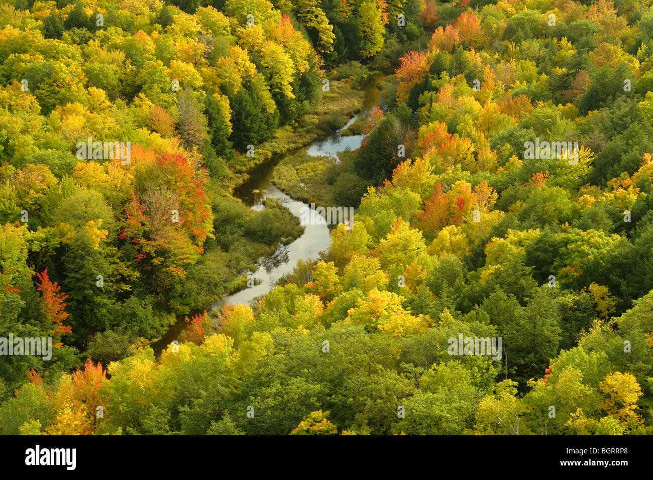 AJD62705, MI, Michigan, Upper Peninsula, Porcupine Mountains Wilderness ...