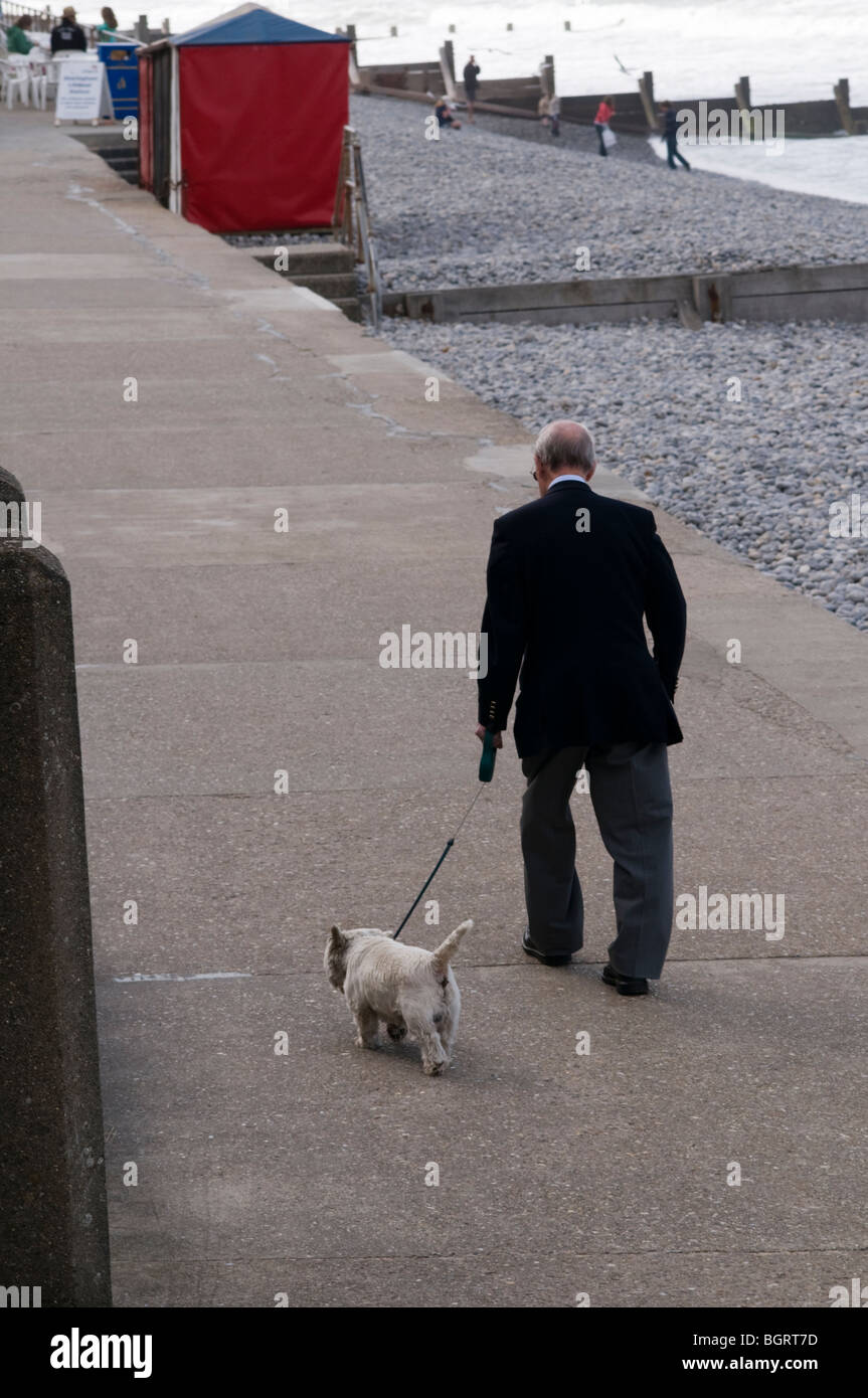 Old Man Walking Dog High Resolution Stock Photography and Images - Alamy