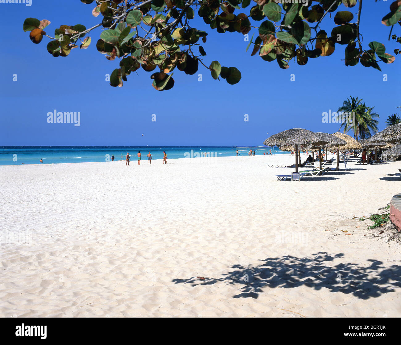 Tropical beach, Varadero, Matanzas, Cuba Stock Photo - Alamy