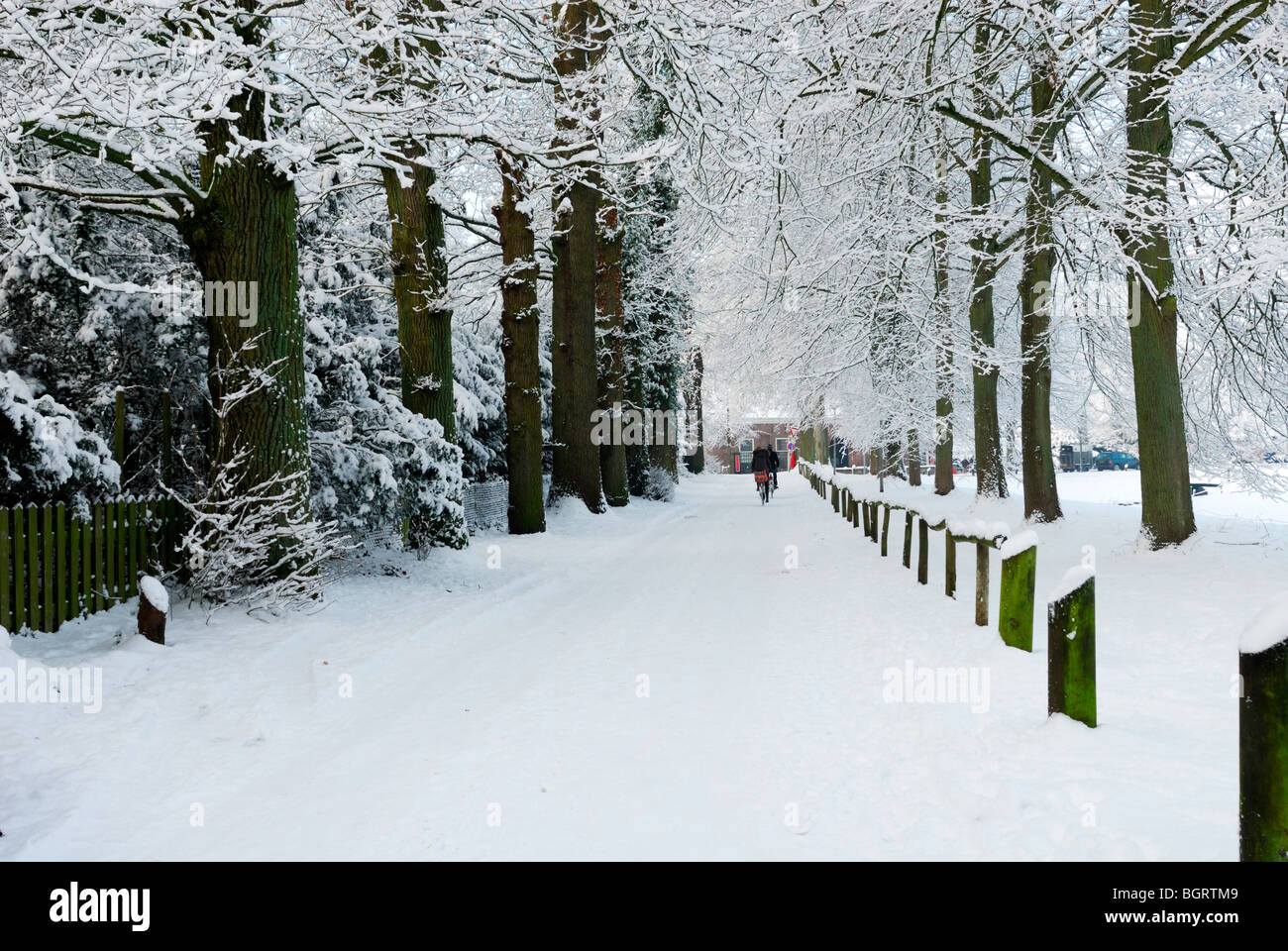 Beautiful winter landscape in the Netherlands ( Elswout Overveen Stock ...