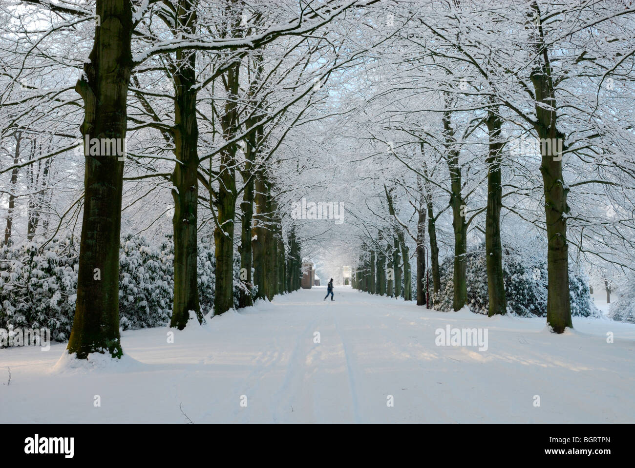 Beautiful winter landscape in the Netherlands ( Elswout Overveen Stock ...