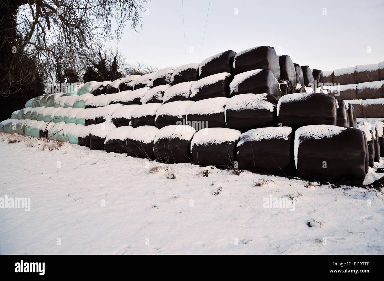Snow lays on hay straw bales in farmyard Stock Photo - Alamy