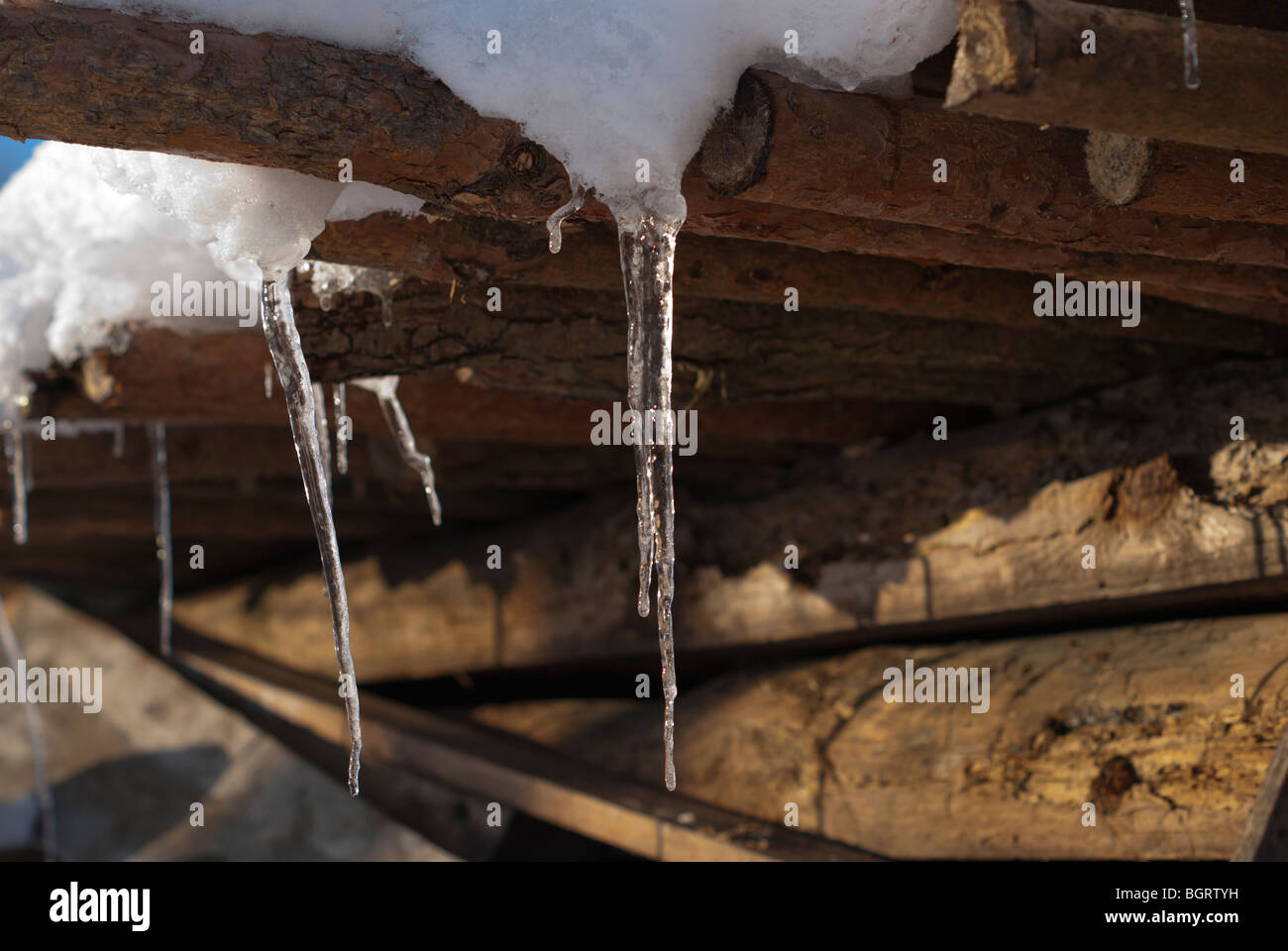 Icicle pendulous from a pile of old wood Stock Photo - Alamy