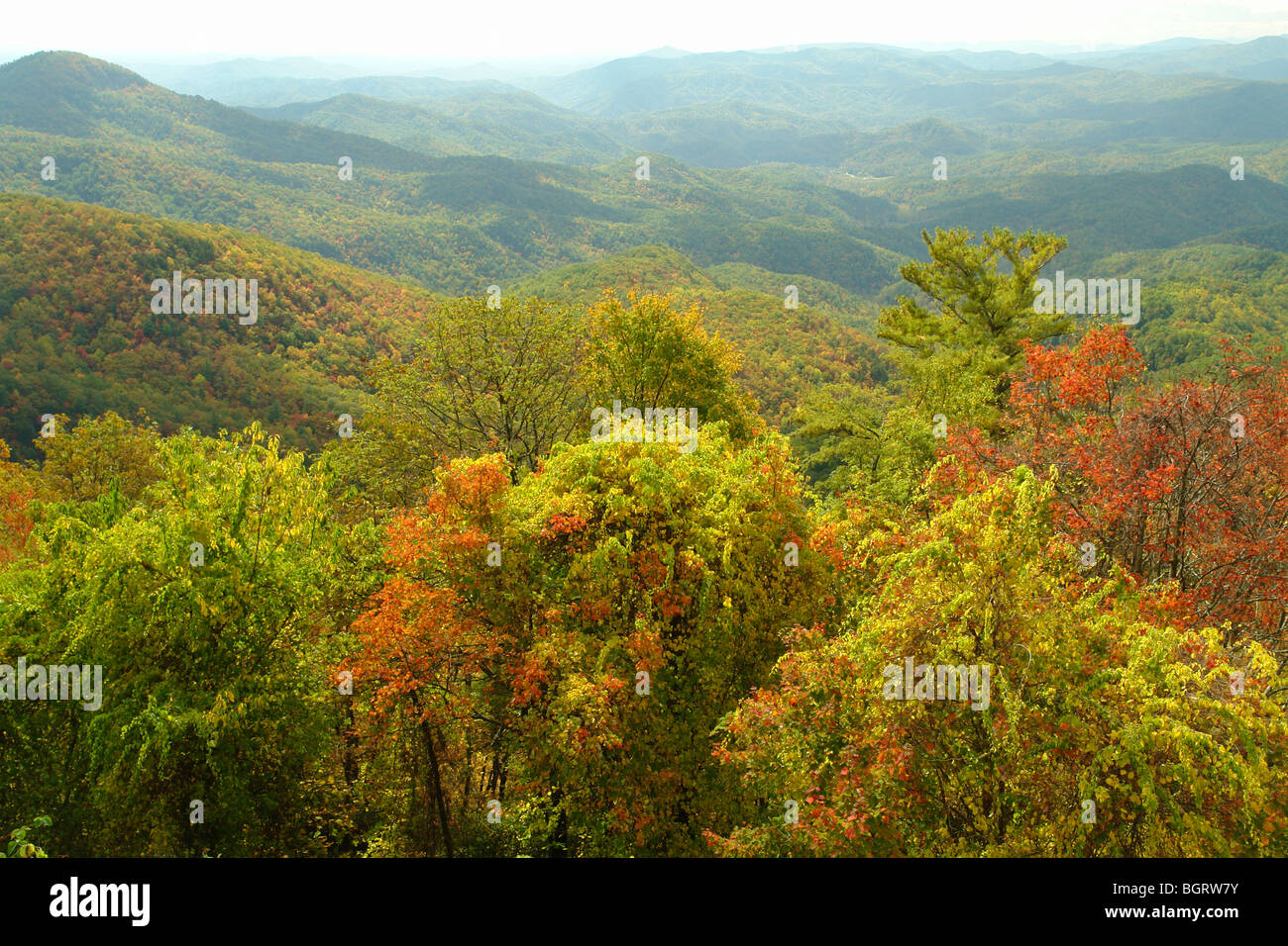 Blowing rock, nc hi-res stock photography and images - Alamy