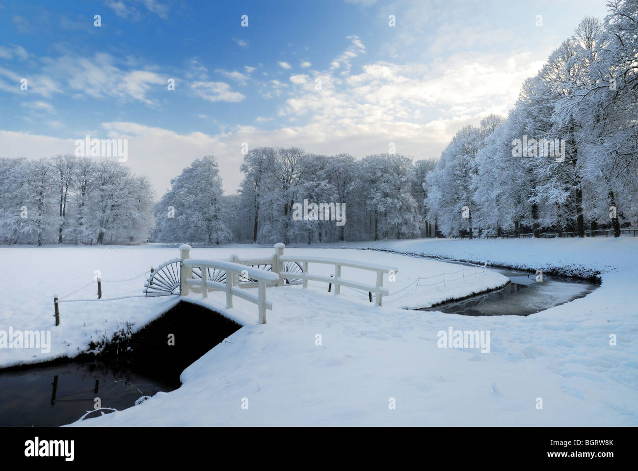 Beautiful winter landscape in the Netherlands ( Elswout Overveen Stock ...