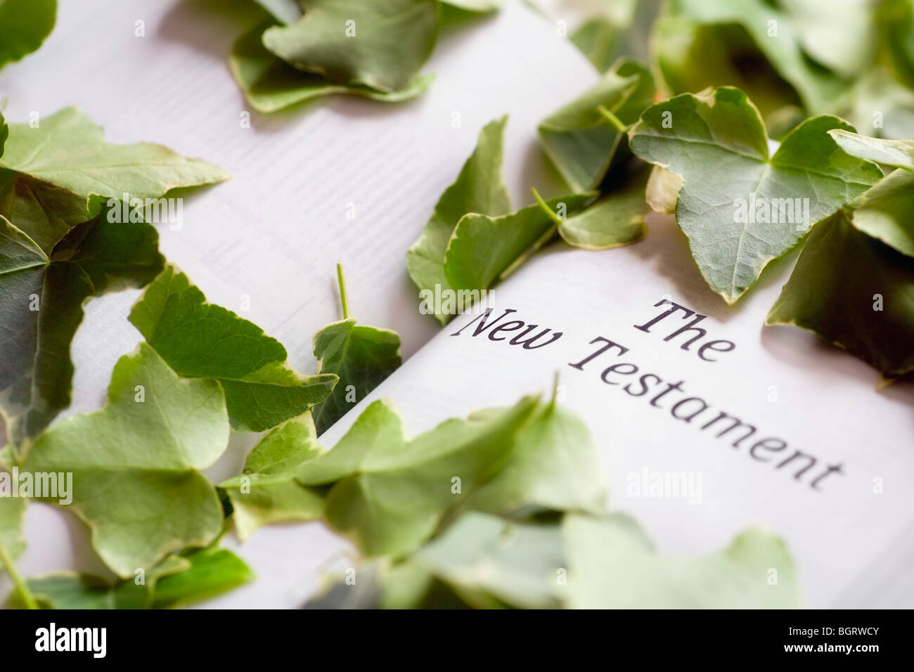 Bible passage hi-res stock photography and images - Alamy