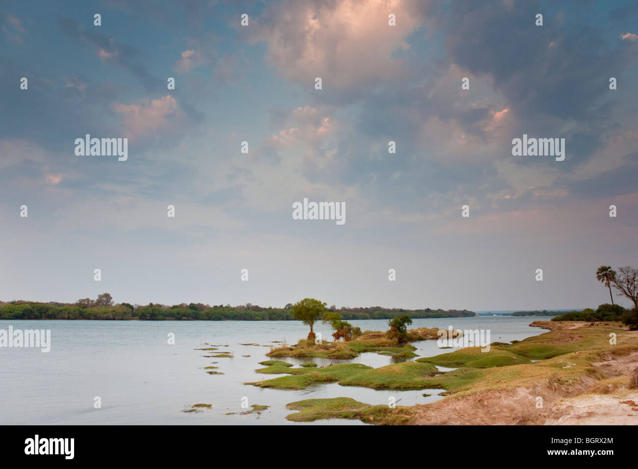 Riverfront of the Sambezi river. The photo was taken in Zimbabwe's ...