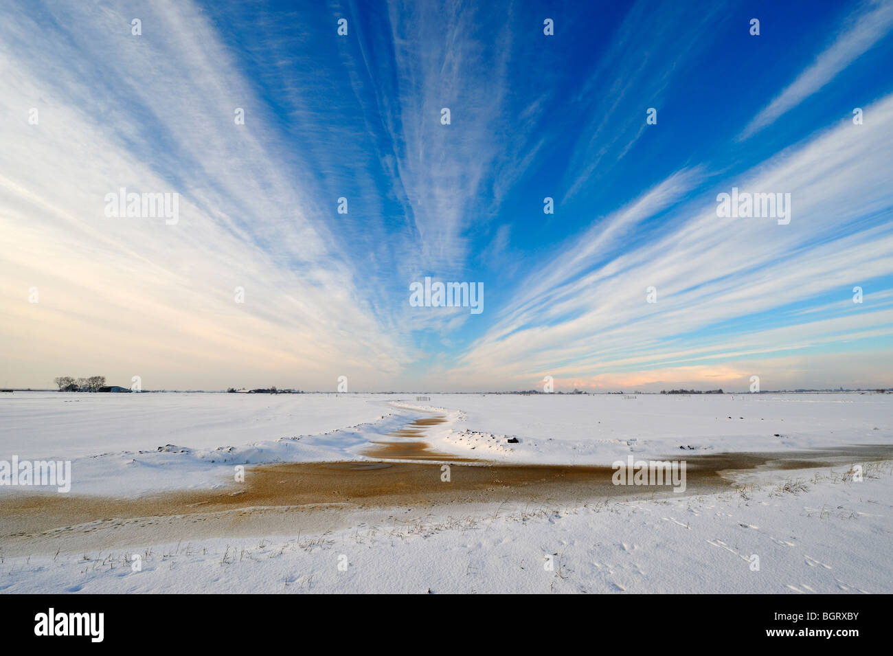 Beautiful winter landscape in the Netherlands Stock Photo - Alamy