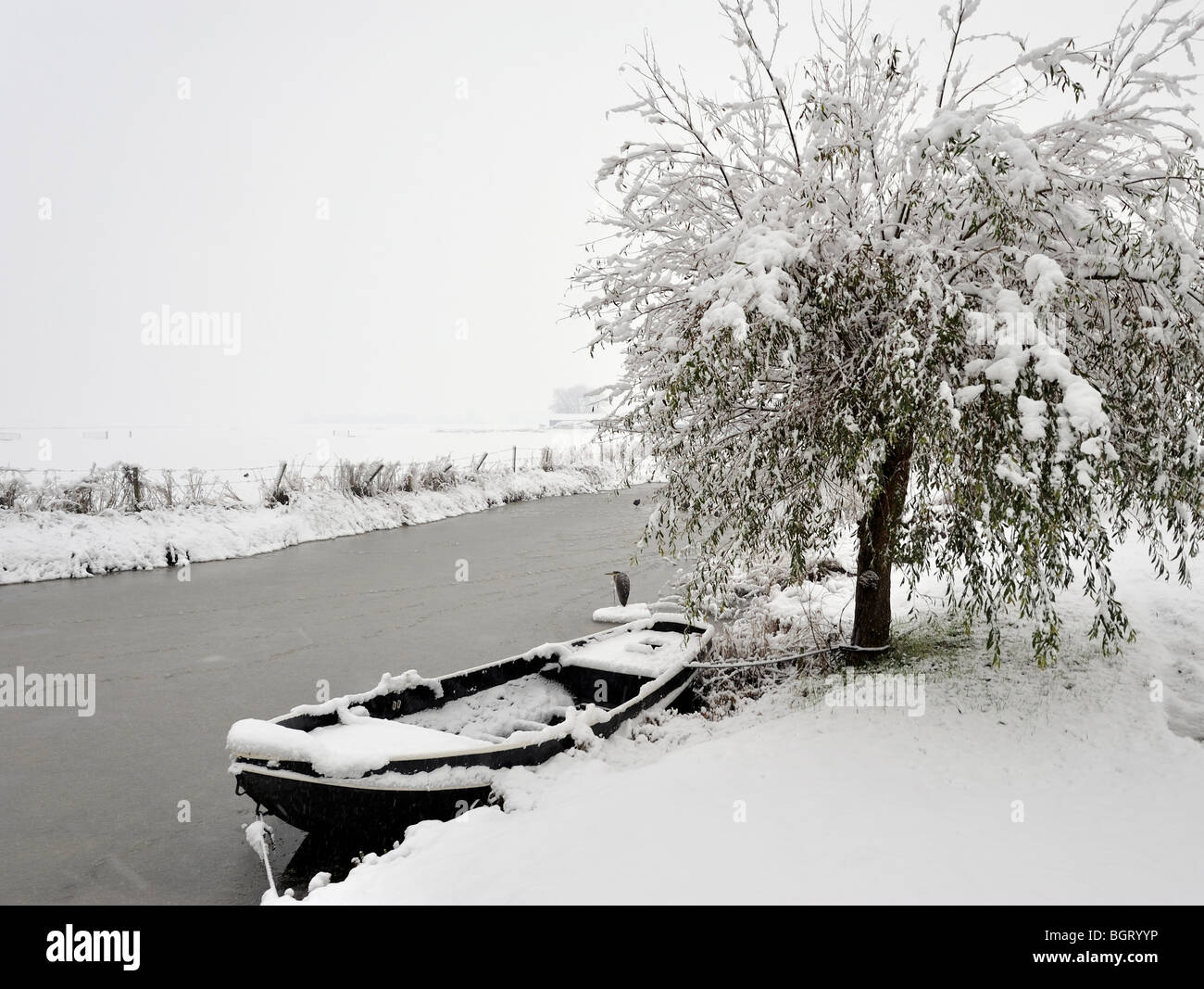 Winter landscape in Friesland the Netherlands Stock Photo - Alamy