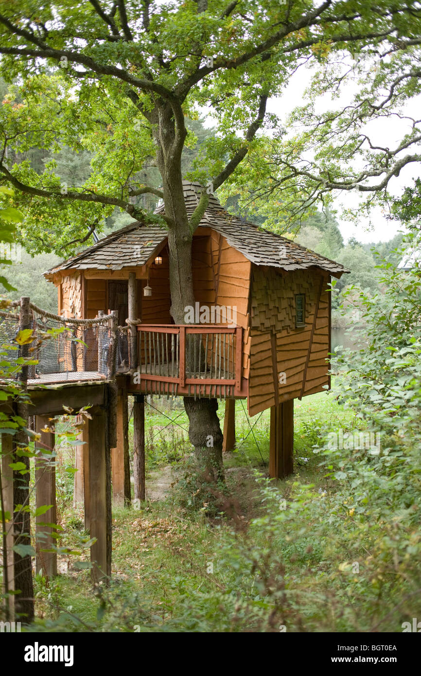 Deerpark Forest near Liskeard Treehouse Stock Photo - Alamy