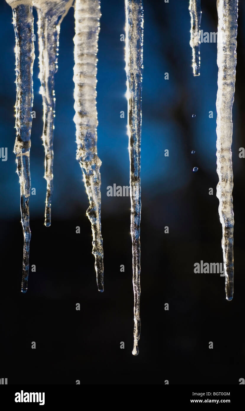 Studio shot melting icicle hi-res stock photography and images - Alamy