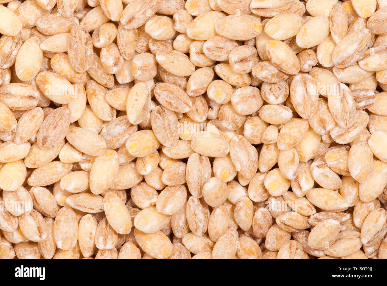 Pearl Barley background Stock Photo - Alamy