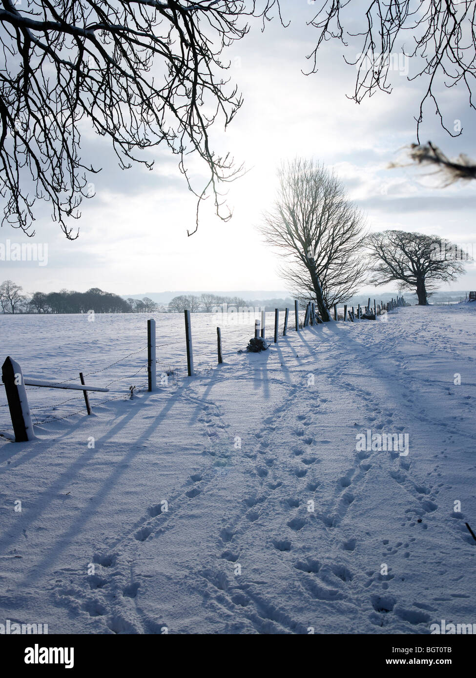 Footsteps in snow, Grange Moor, Nr Huddersfield, West Yorkshire Stock ...