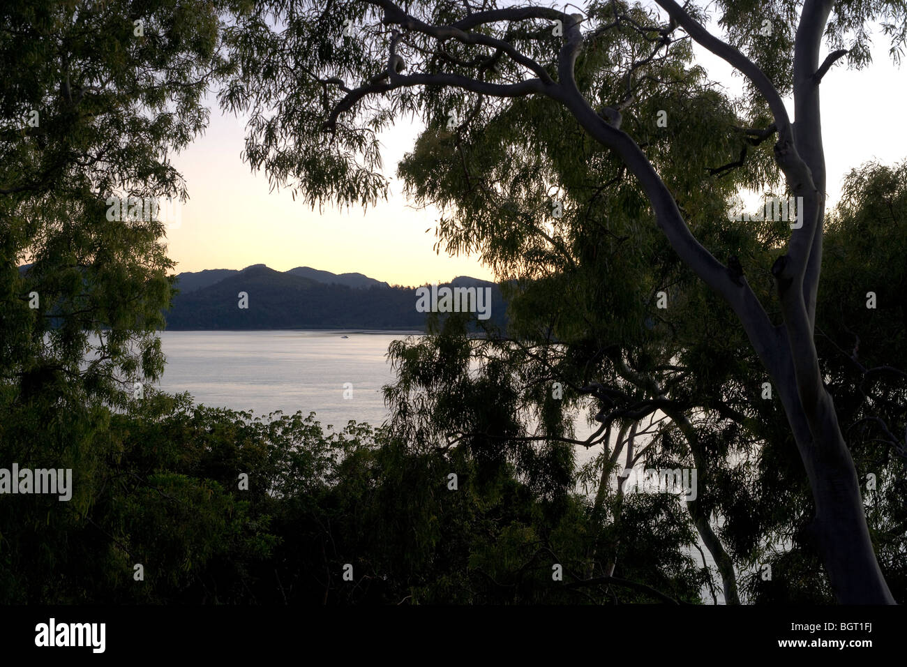 Qualia australia hi-res stock photography and images - Alamy