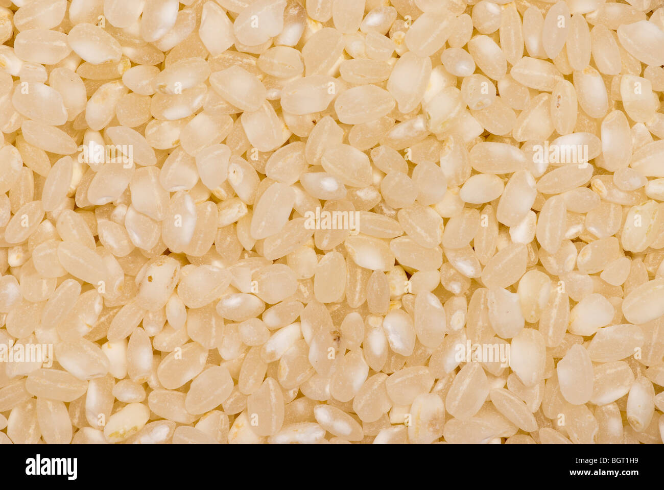 Short grain rice hi-res stock photography and images - Alamy