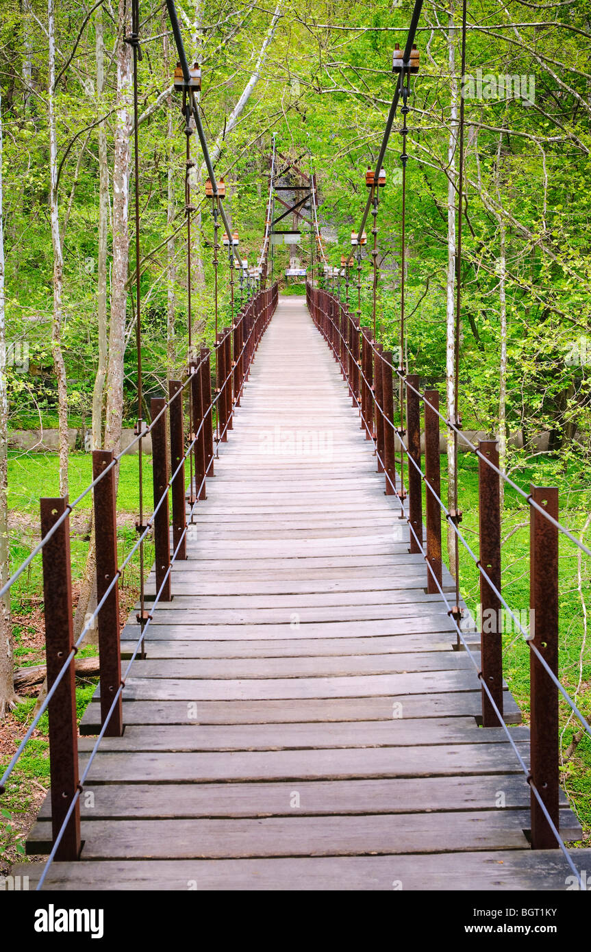 Suspension footbridge over the Patapsco River, Maryland USA Stock Photo ...