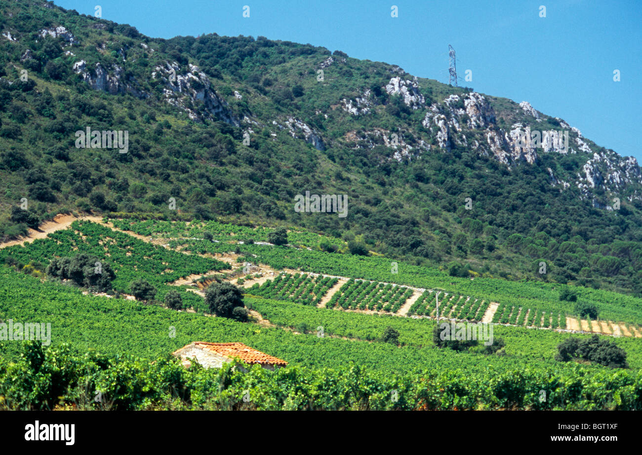 The foothills of the pyrenees hi-res stock photography and images - Alamy