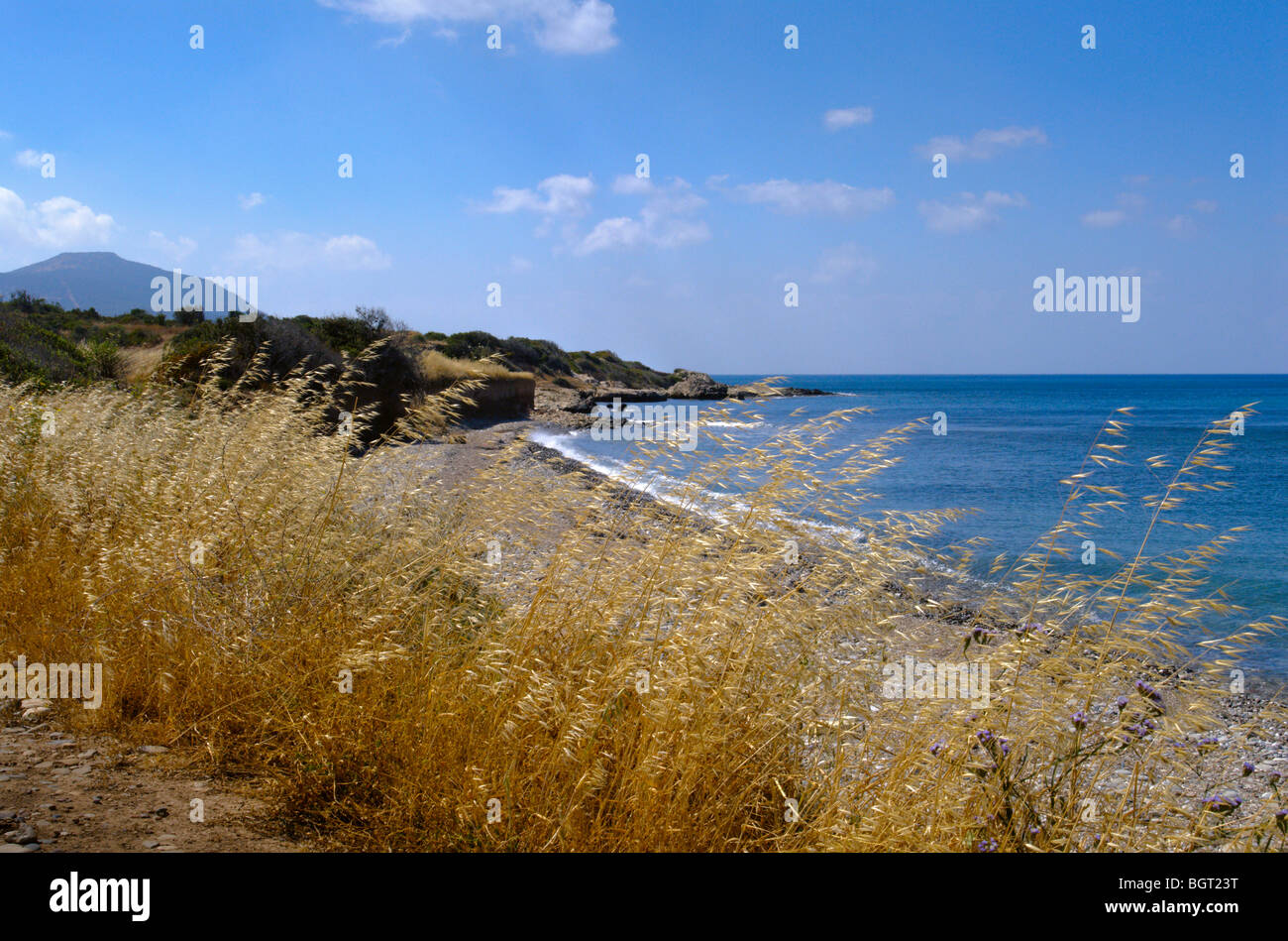 Beautiful beaches market bay hi-res stock photography and images - Alamy