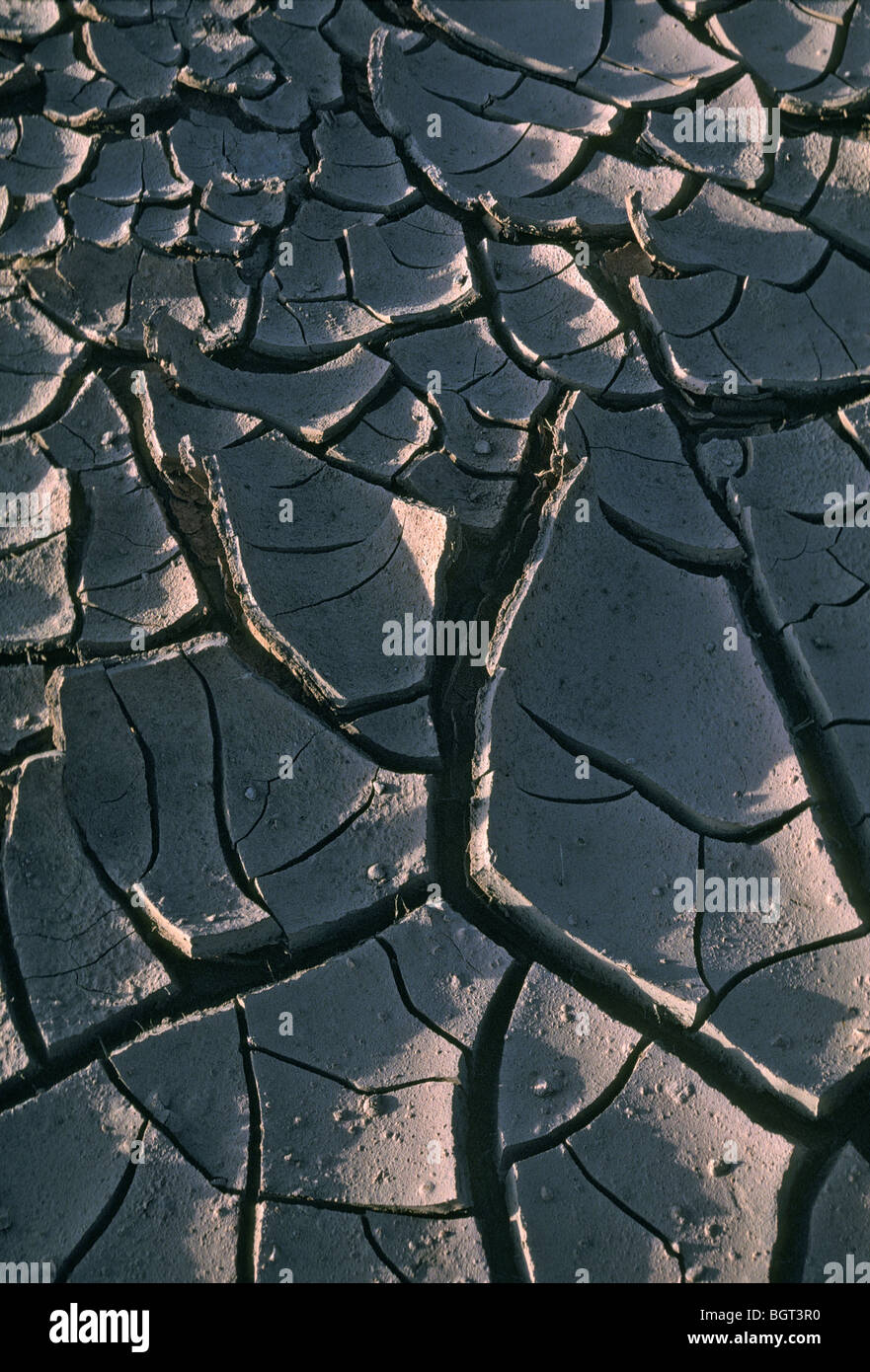 Dried clumps of parched sand, Arches National Park, Utah US Stock Photo ...