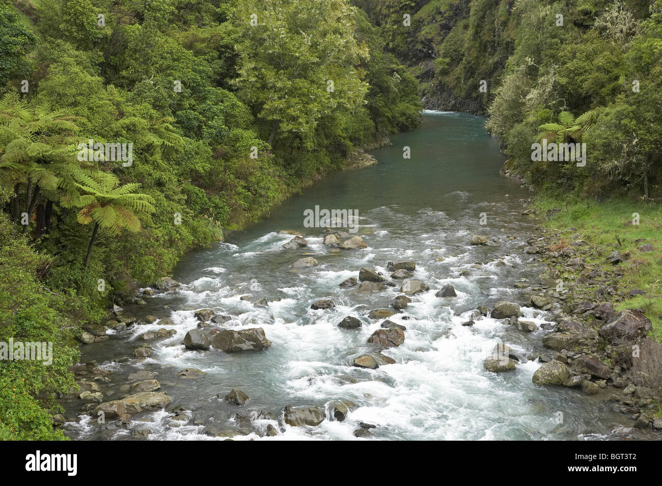 Waioeka gorge new zealand hi-res stock photography and images - Alamy