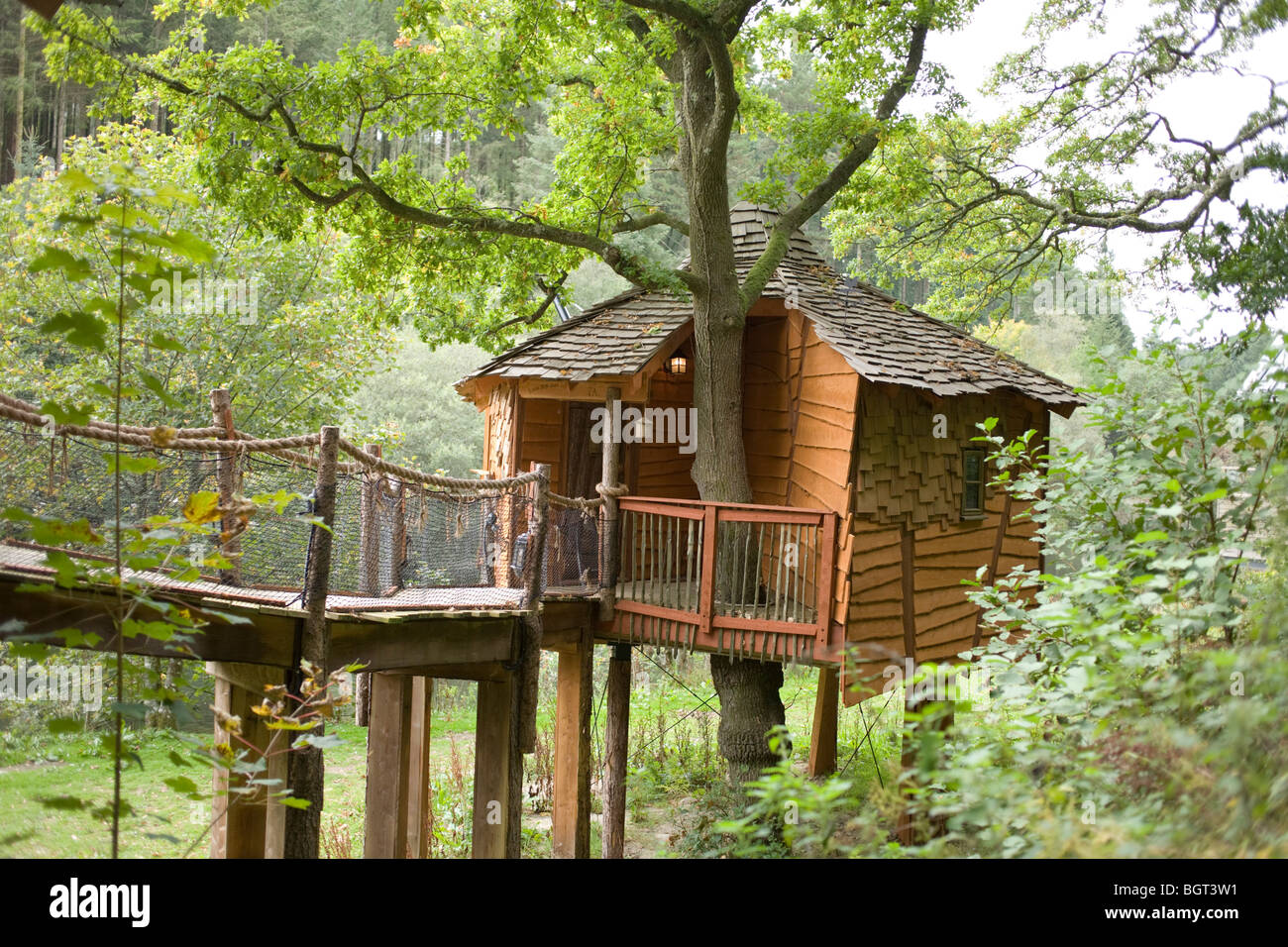 Deerpark Forest near Liskeard Treehouse Stock Photo - Alamy